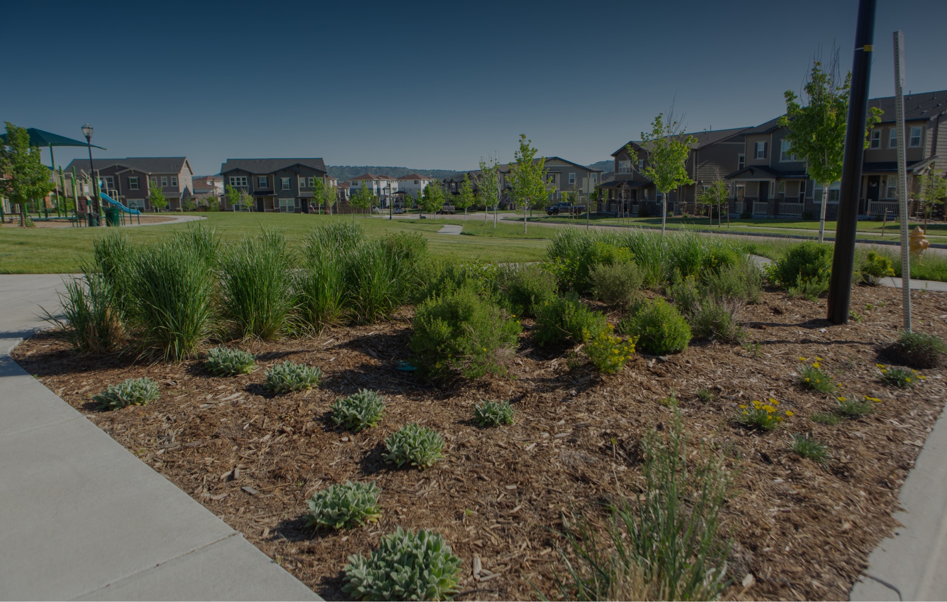 Denver Metro Landscape Contractors | Colorado Landscaping